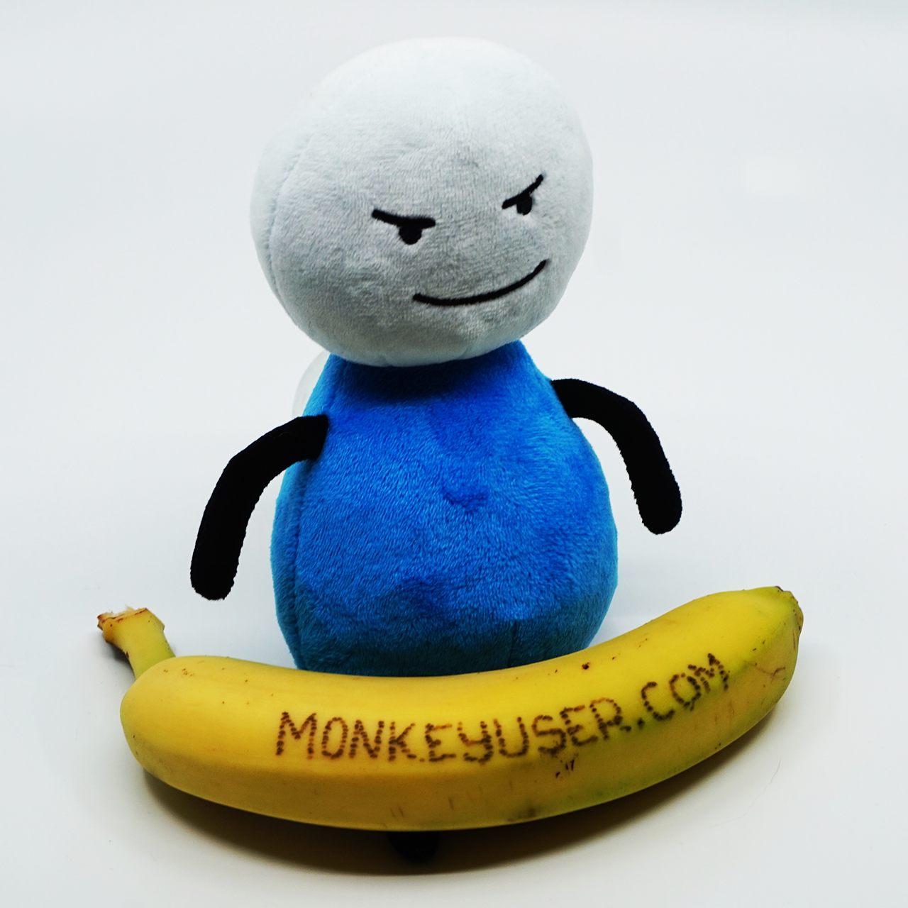 Developer – Monkeyuser