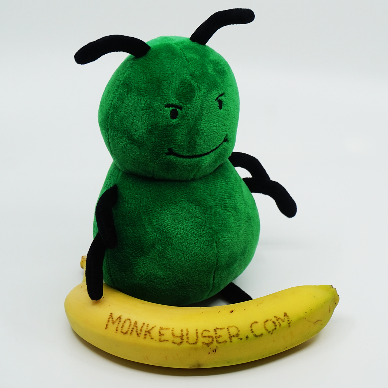 Feature – Monkeyuser